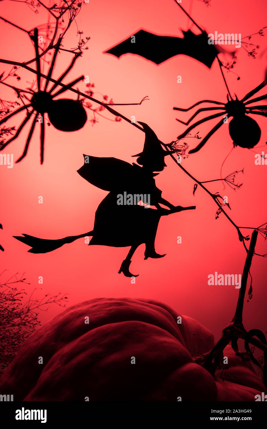 Witch flies on the Sabbath. Creative trendy Halloween background with a ...