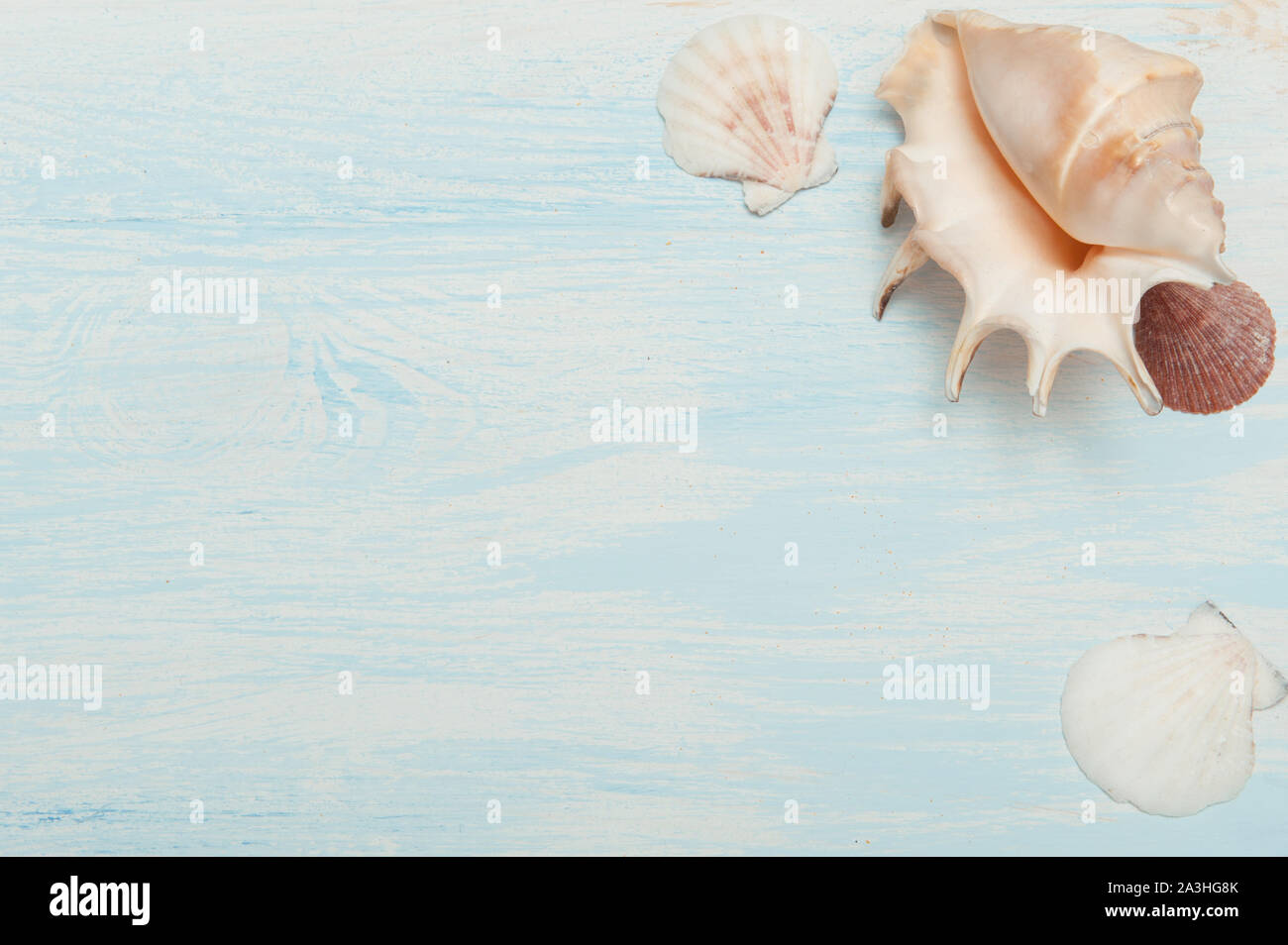Sea background with painted blue paint wood, shells Stock Photo - Alamy
