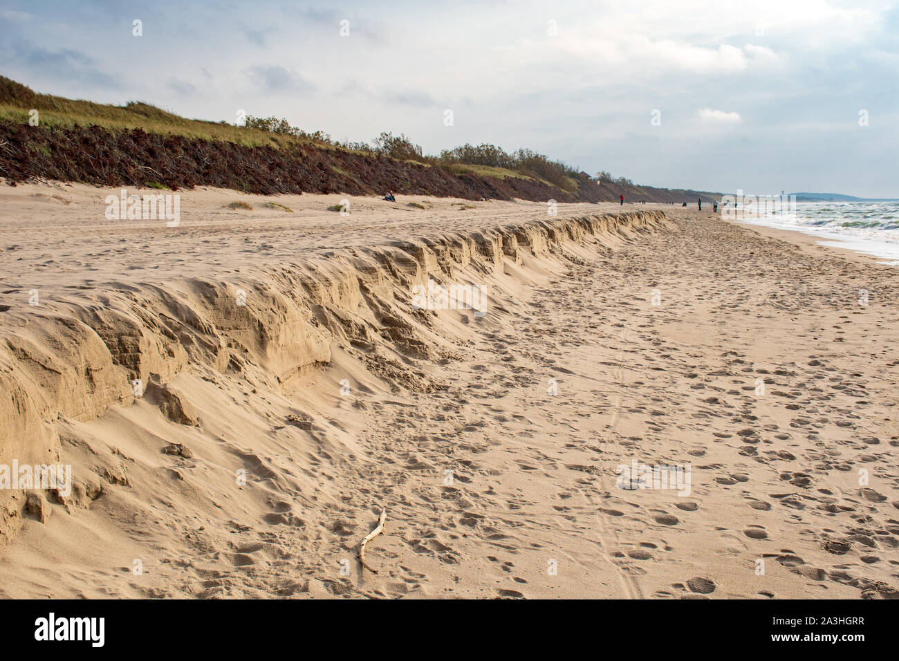 Sandy beach erosion, coastal erosion on the Baltic coast in Lithuania ...