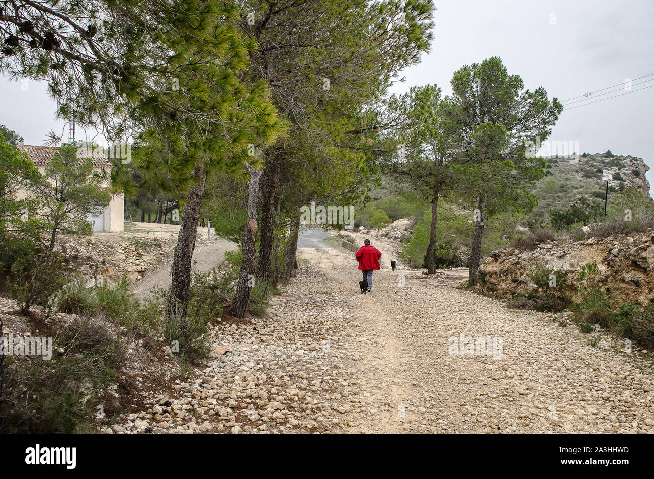 Man walking on a forest path one autumn day Stock Photo - Alamy