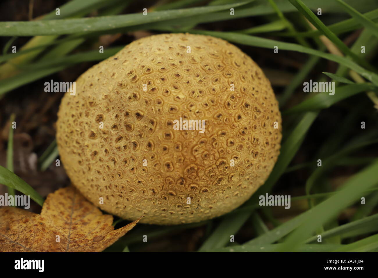 Maartenszee hi-res stock photography and images - Alamy