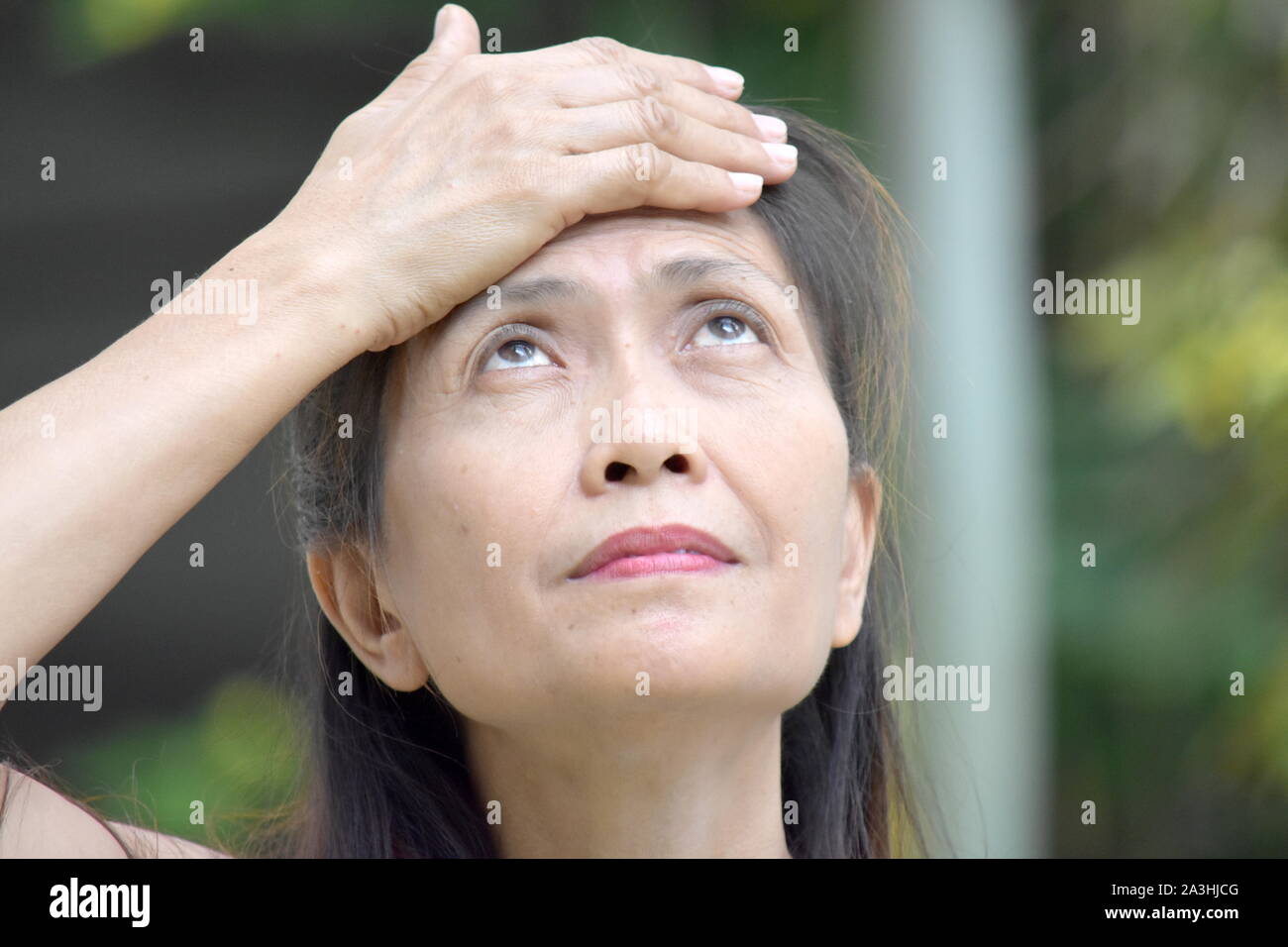 Elderly adult women hi-res stock photography and images - Alamy