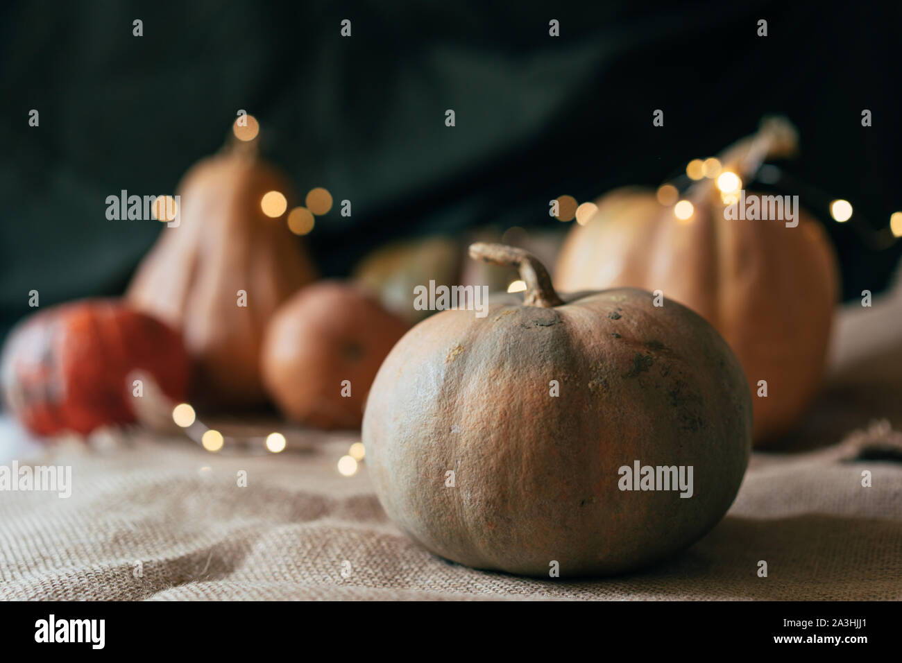 Rustic still life Stock Photo - Alamy
