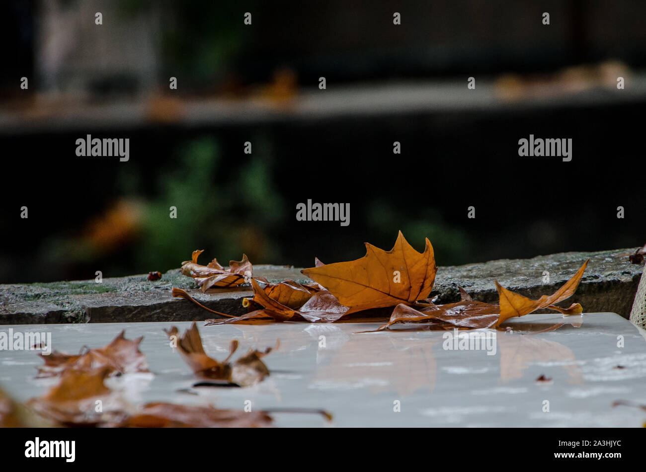 Autumna hi-res stock photography and images - Alamy