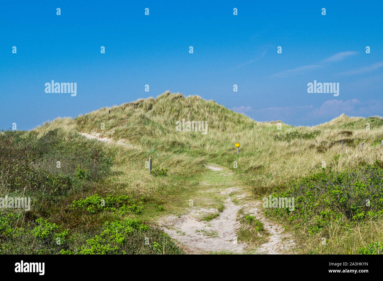 Dune landscape at the North Sea Stock Photo - Alamy