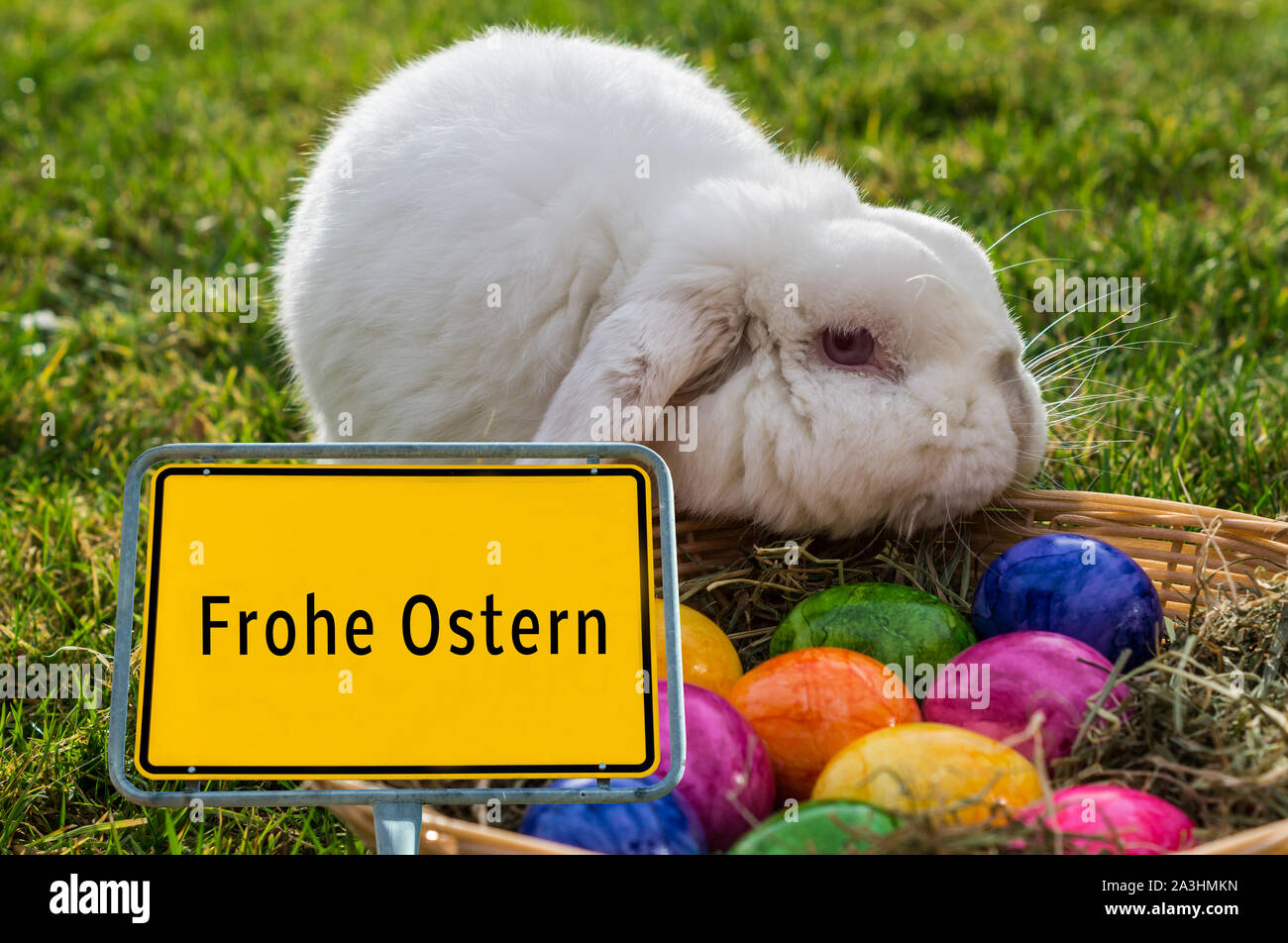 Happy easter card bunny germany hi-res stock photography and images - Alamy