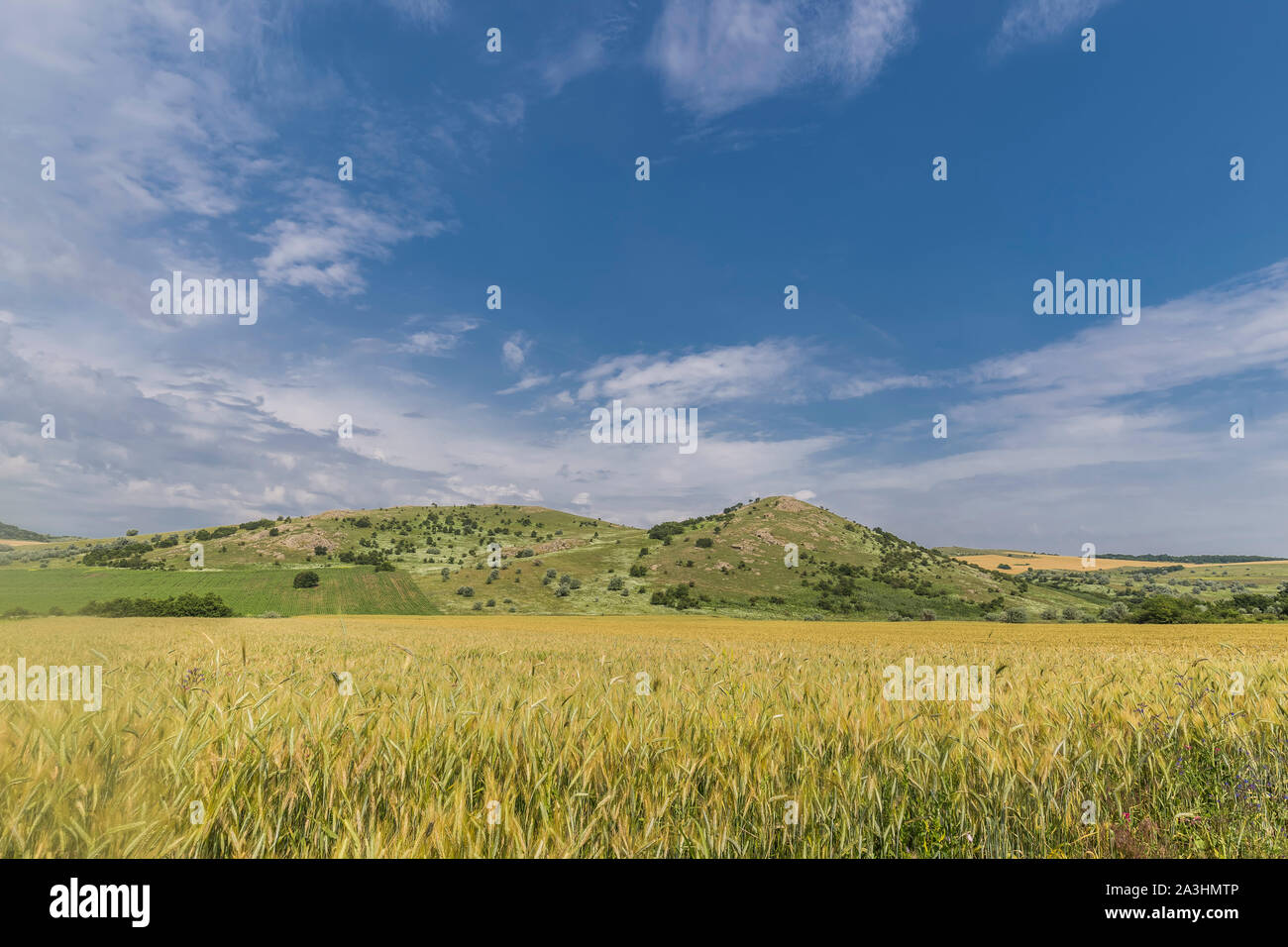 Grain field romania hi-res stock photography and images - Alamy
