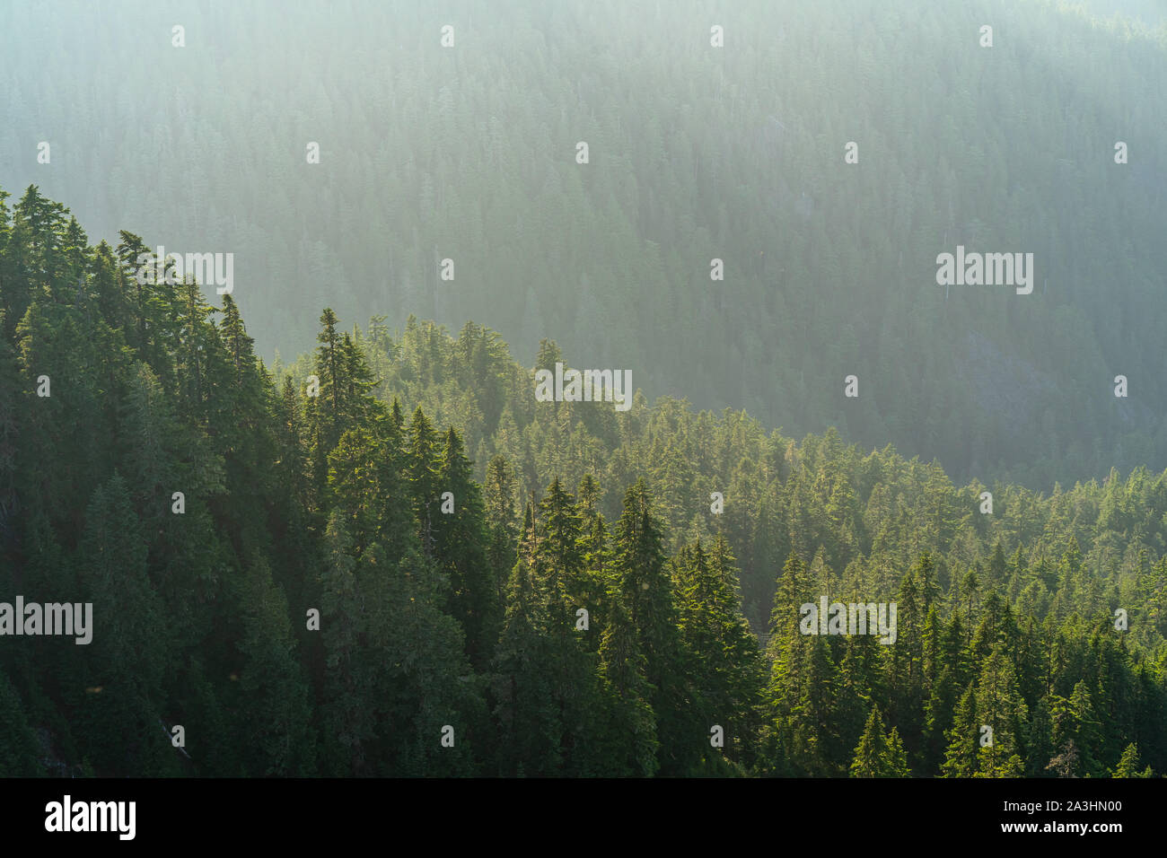 Glaciers in sunset hi-res stock photography and images - Alamy