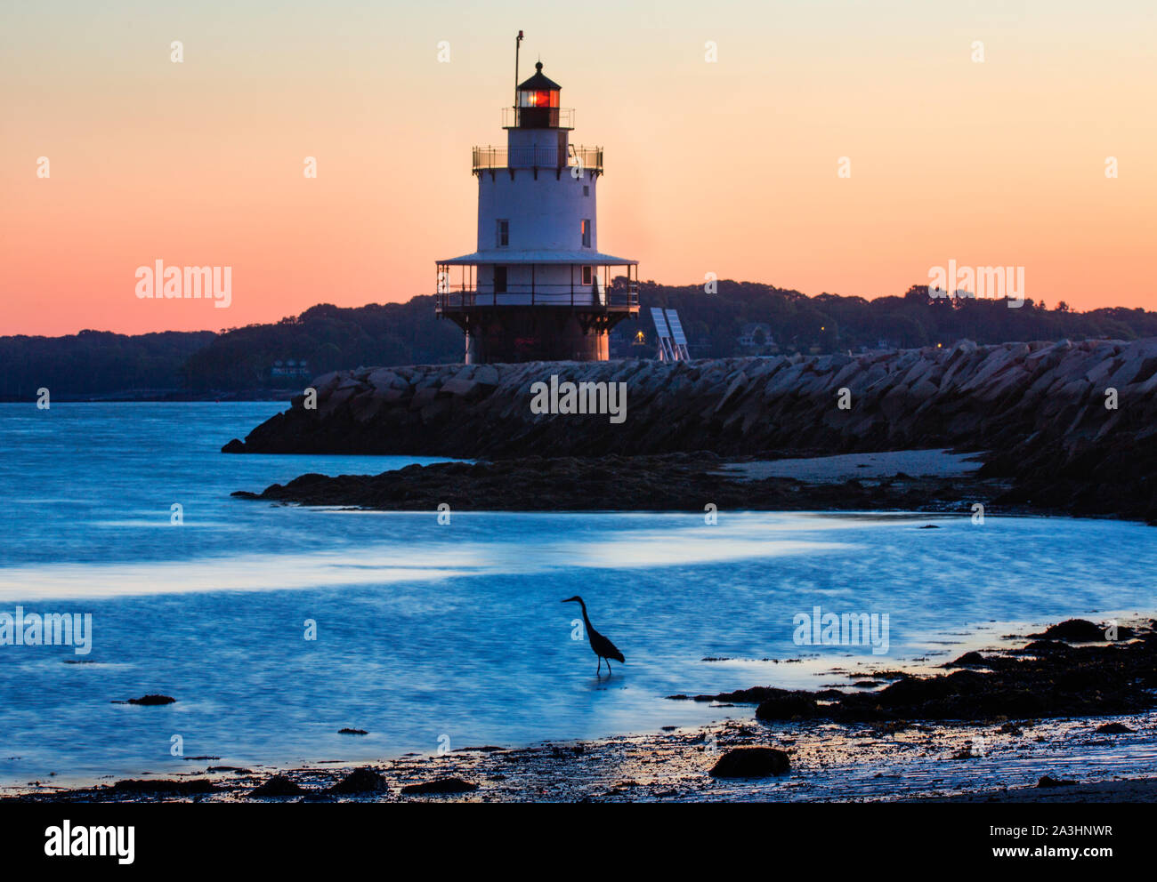 Blue point spring hi-res stock photography and images - Alamy