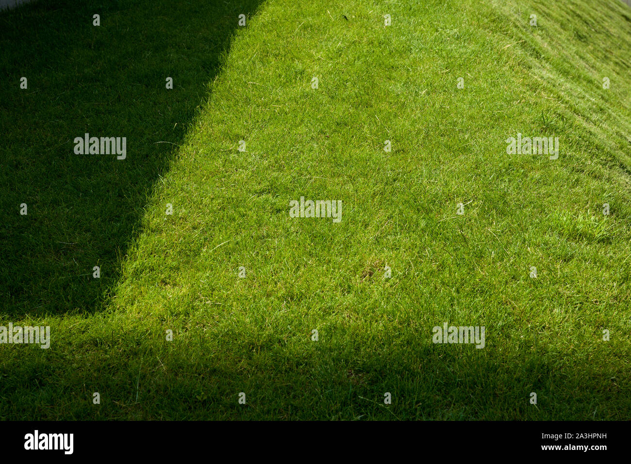 Grass in a park Stock Photo - Alamy