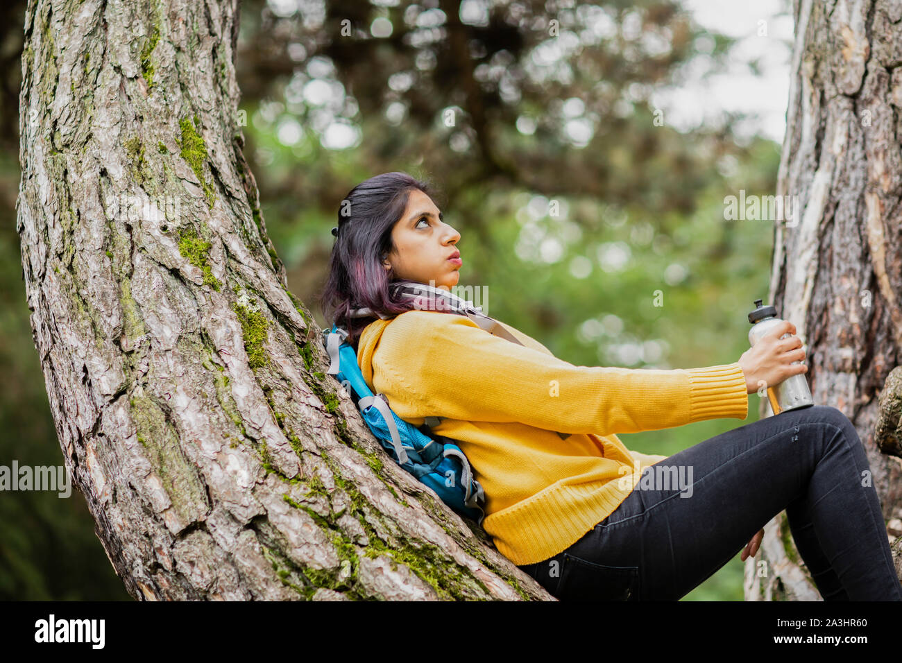 Tired tree hi-res stock photography and images - Alamy