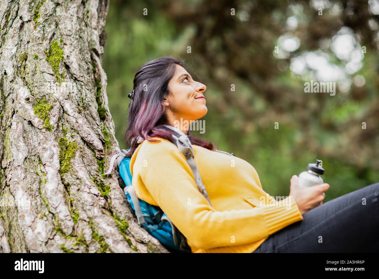 Woman sitting on a tree branch hi-res stock photography and images - Alamy