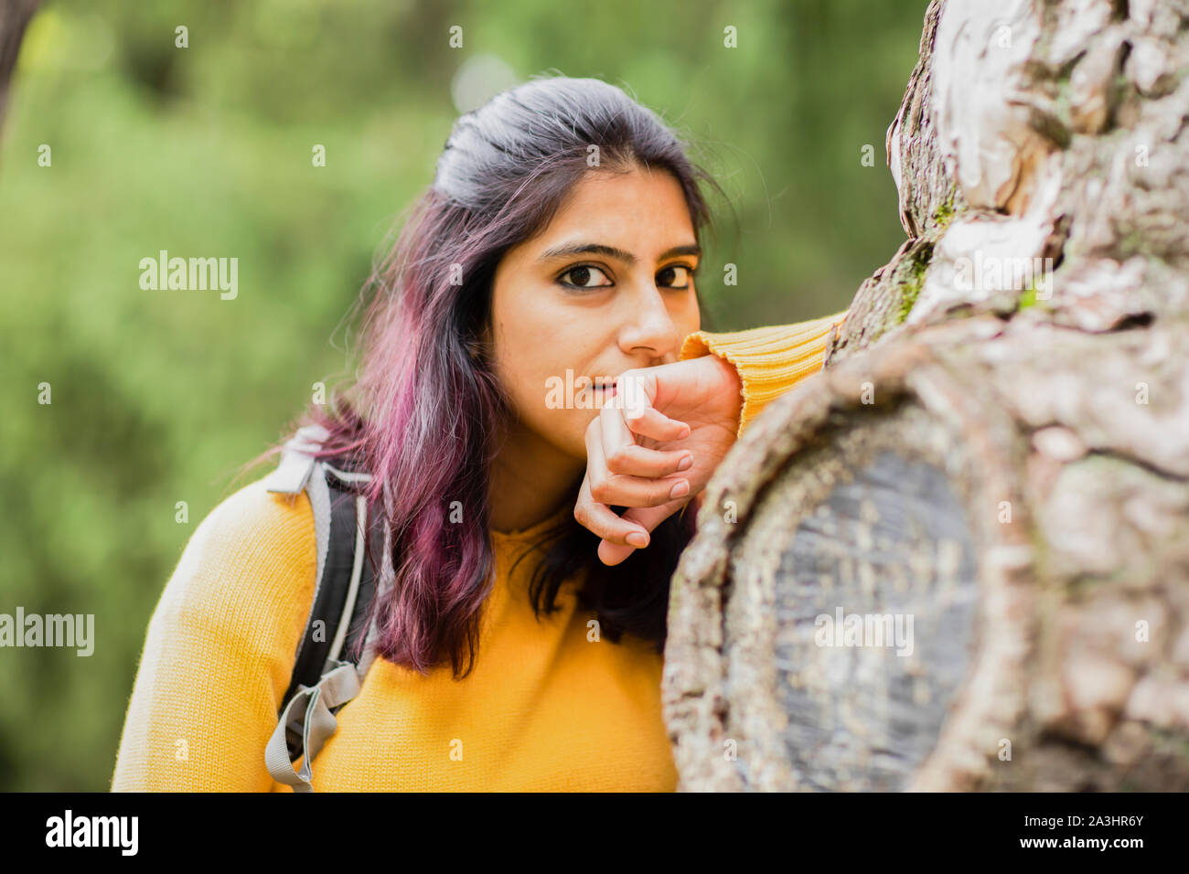 Tree Trees Face Eye Eyes High Resolution Stock Photography and Images ...