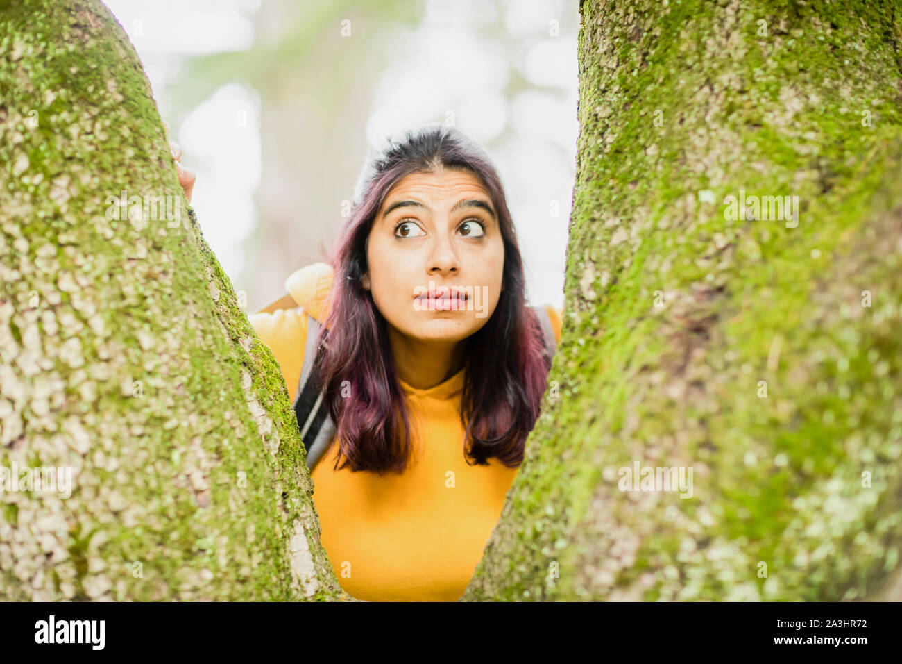 young woman between trees Stock Photo - Alamy