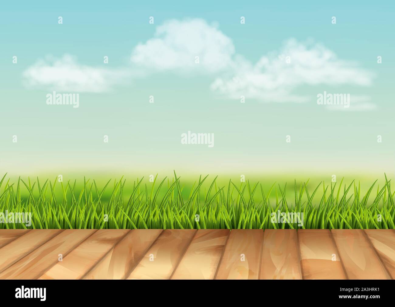 Vector Summer Landscape Stock Vector Image & Art - Alamy