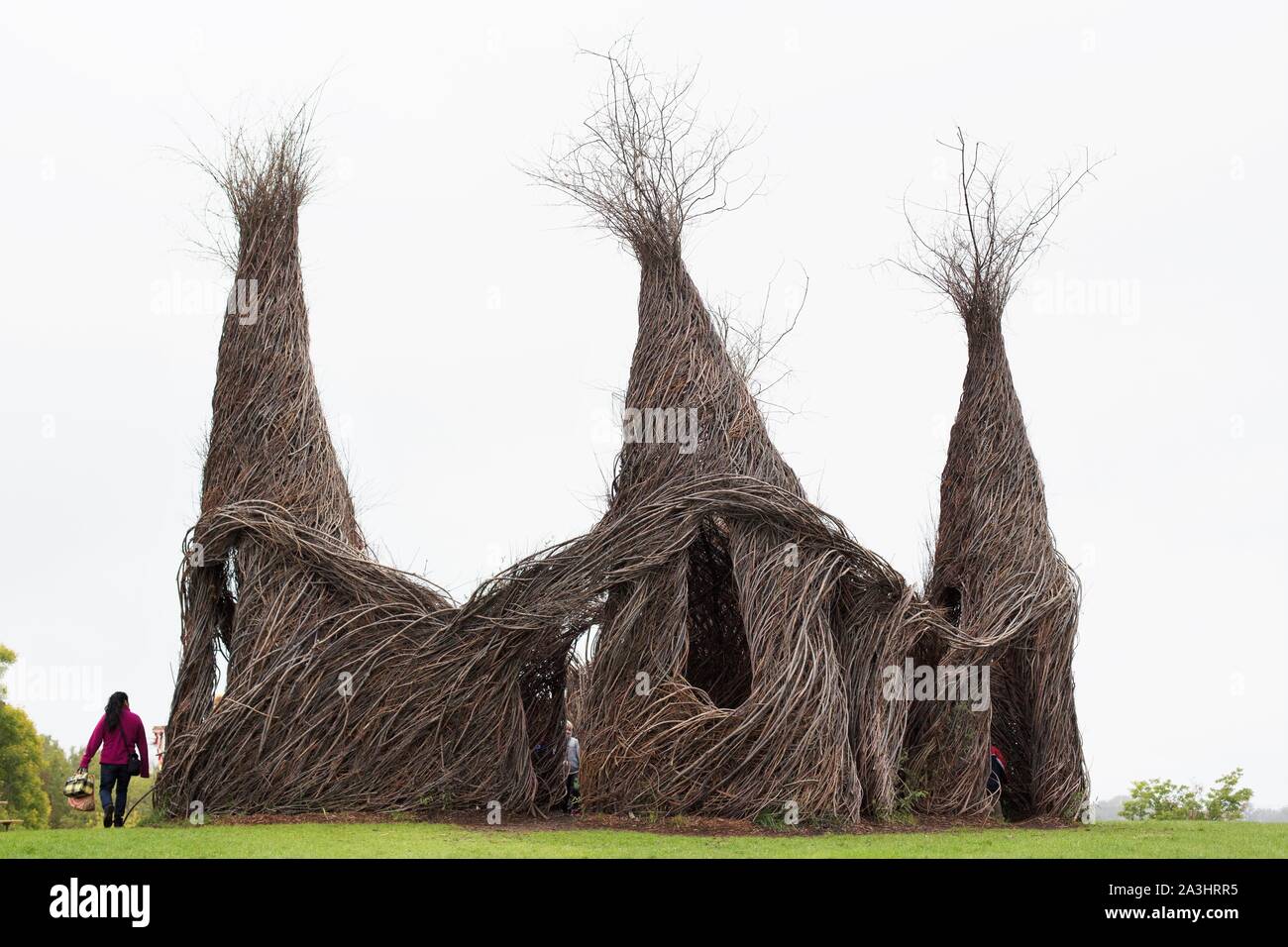 YouBetcha Willow Structure, built by Patrick Dougherty, at the ...