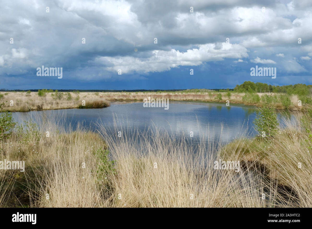Whixall moss hi-res stock photography and images - Alamy