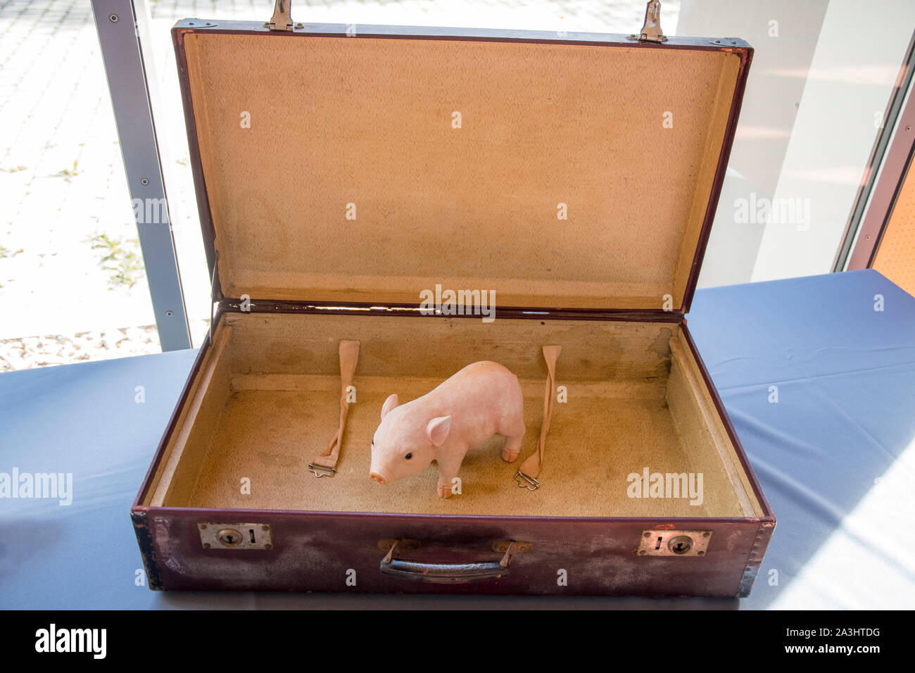 small decoration pig in an old leather case Stock Photo - Alamy