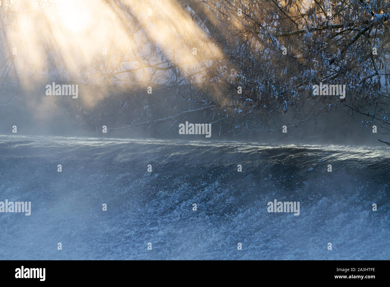Sun rays in forest and river hi-res stock photography and images - Alamy