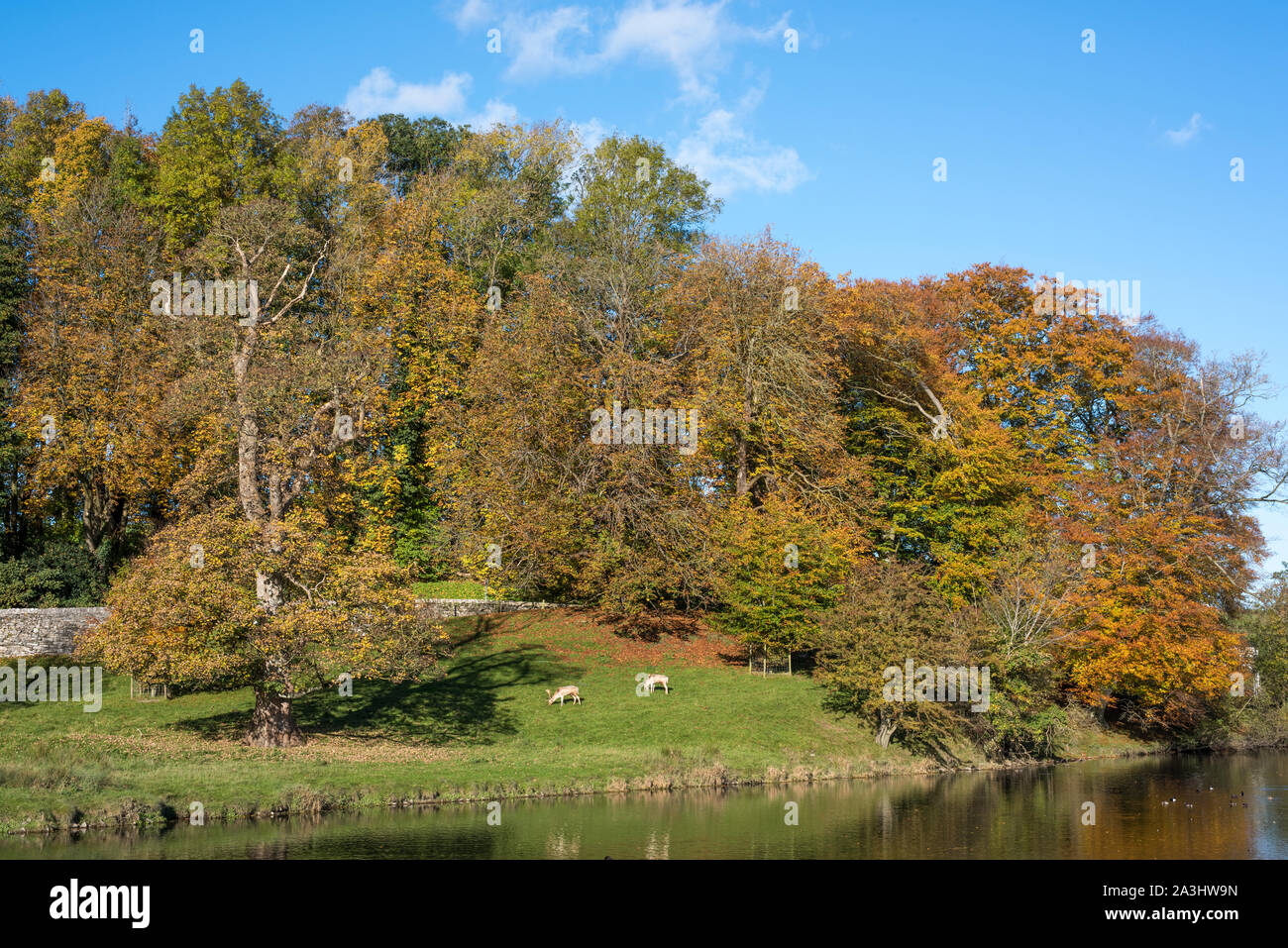 Dallam tower park hi-res stock photography and images - Alamy