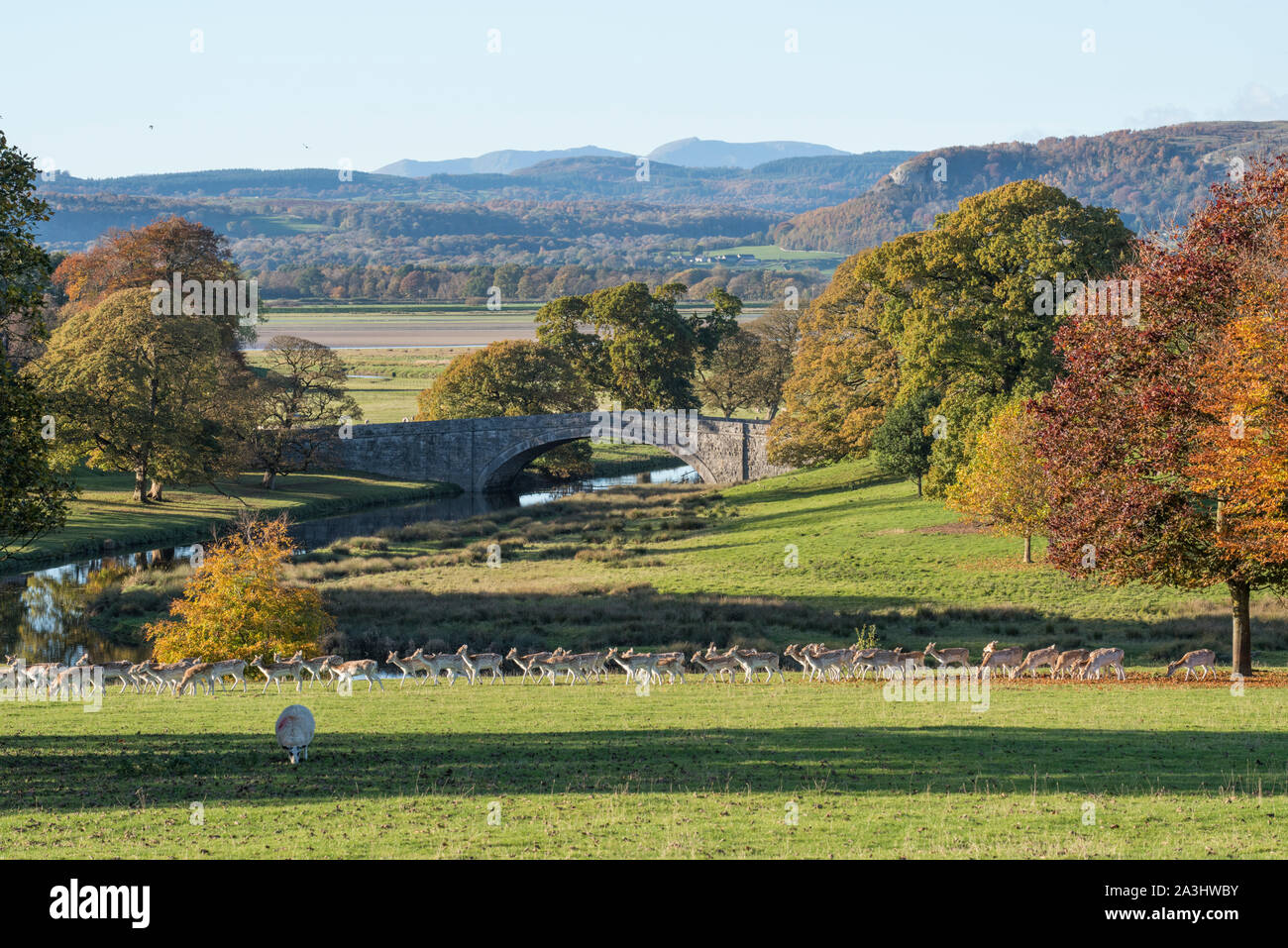 Dallam Tower Deer park, Cumbria Stock Photo - Alamy