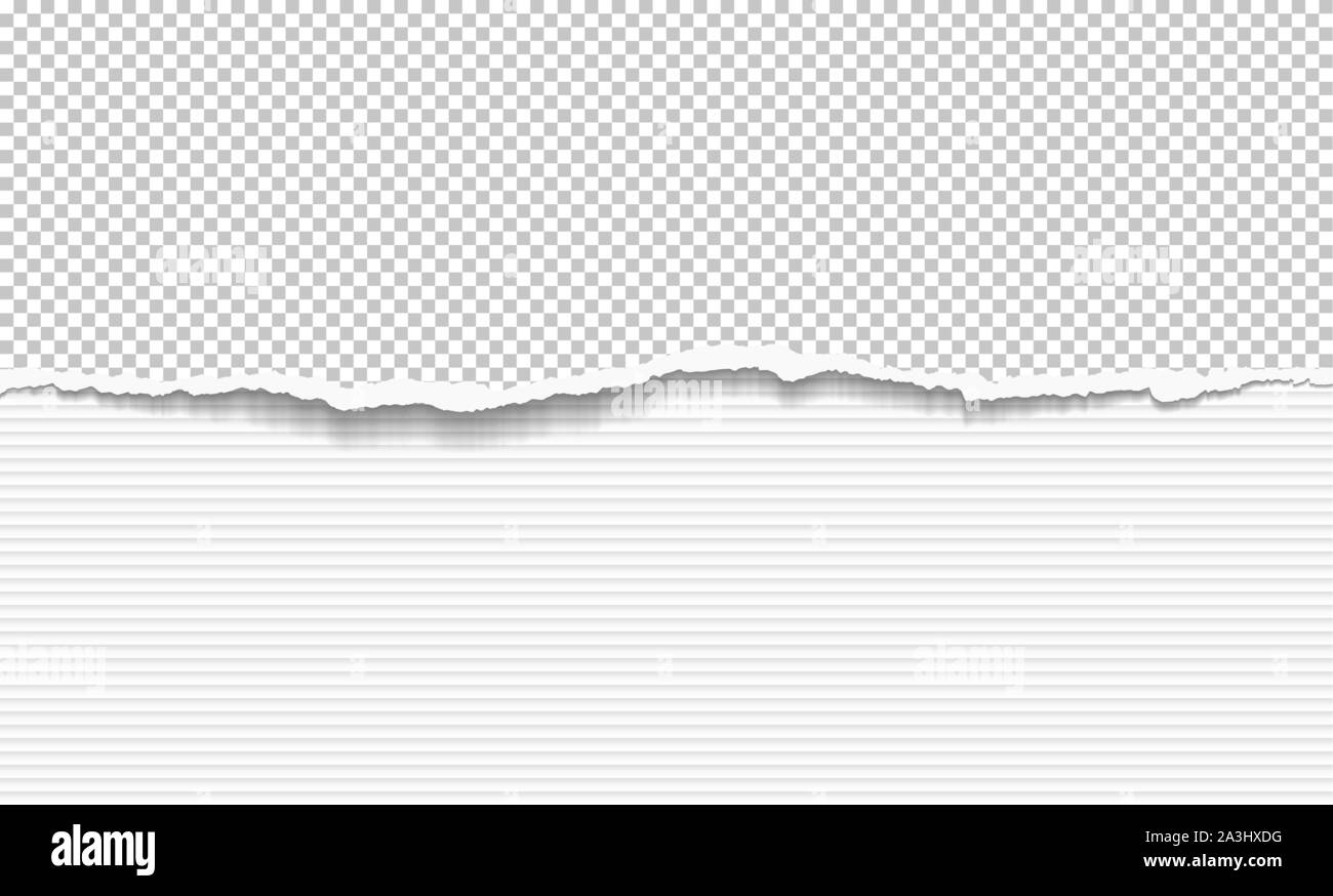 Torn, ripped squared paper strip with soft shadow is on lined ...