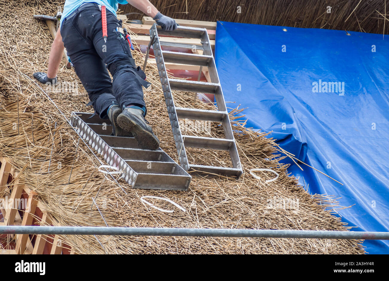 Roofer Reet House Frisan Stock Photo - Alamy