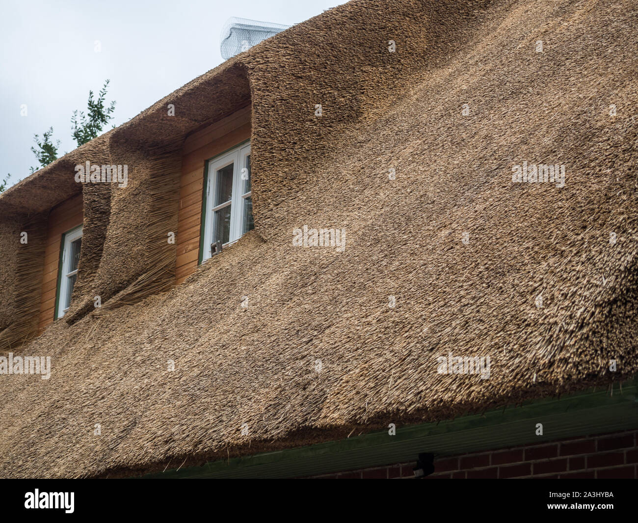 Reed roof hi-res stock photography and images - Alamy