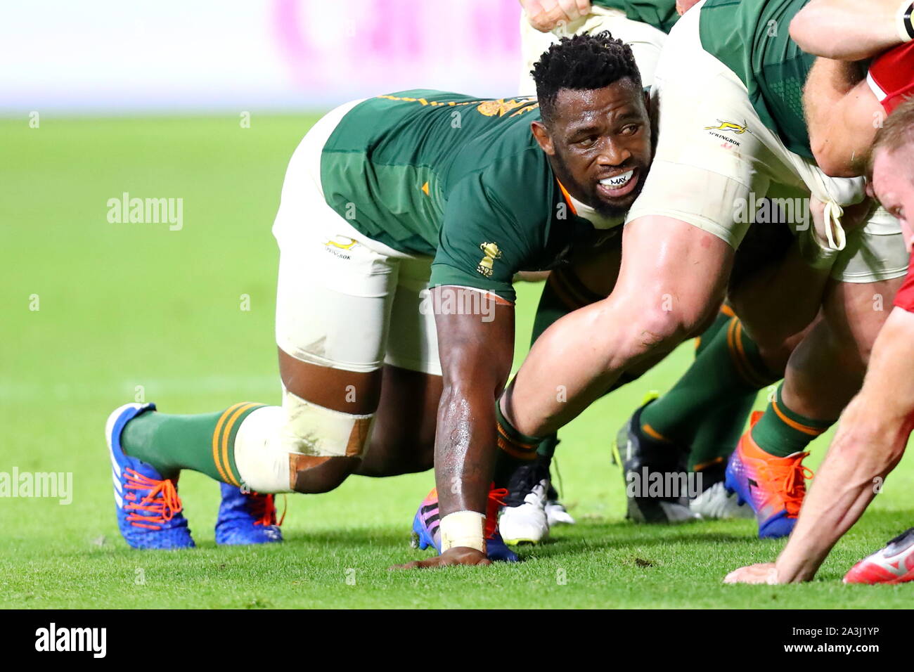 Kobe, Hyogo, Japan. 8th Oct, 2019. Siya Kolisi (RSA) Rugby : 2019 Rugby ...
