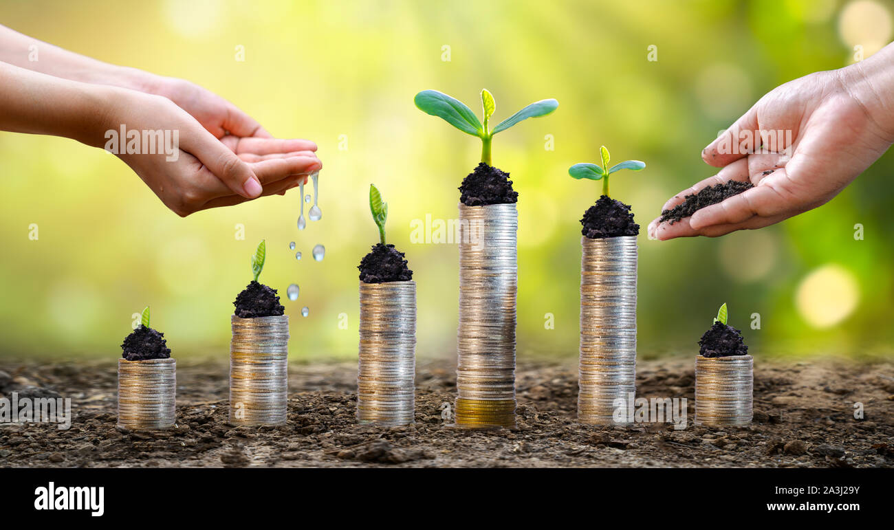 Money growth Saving money. Upper tree coins to shown concept of growing ...