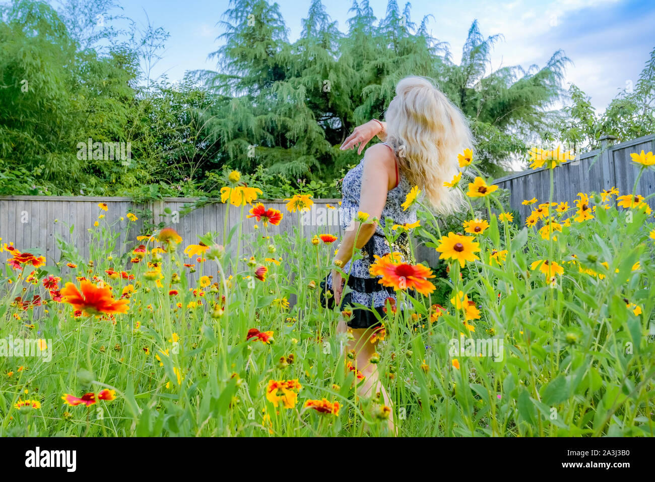 Woman dancing in wildflowers Stock Photo - Alamy