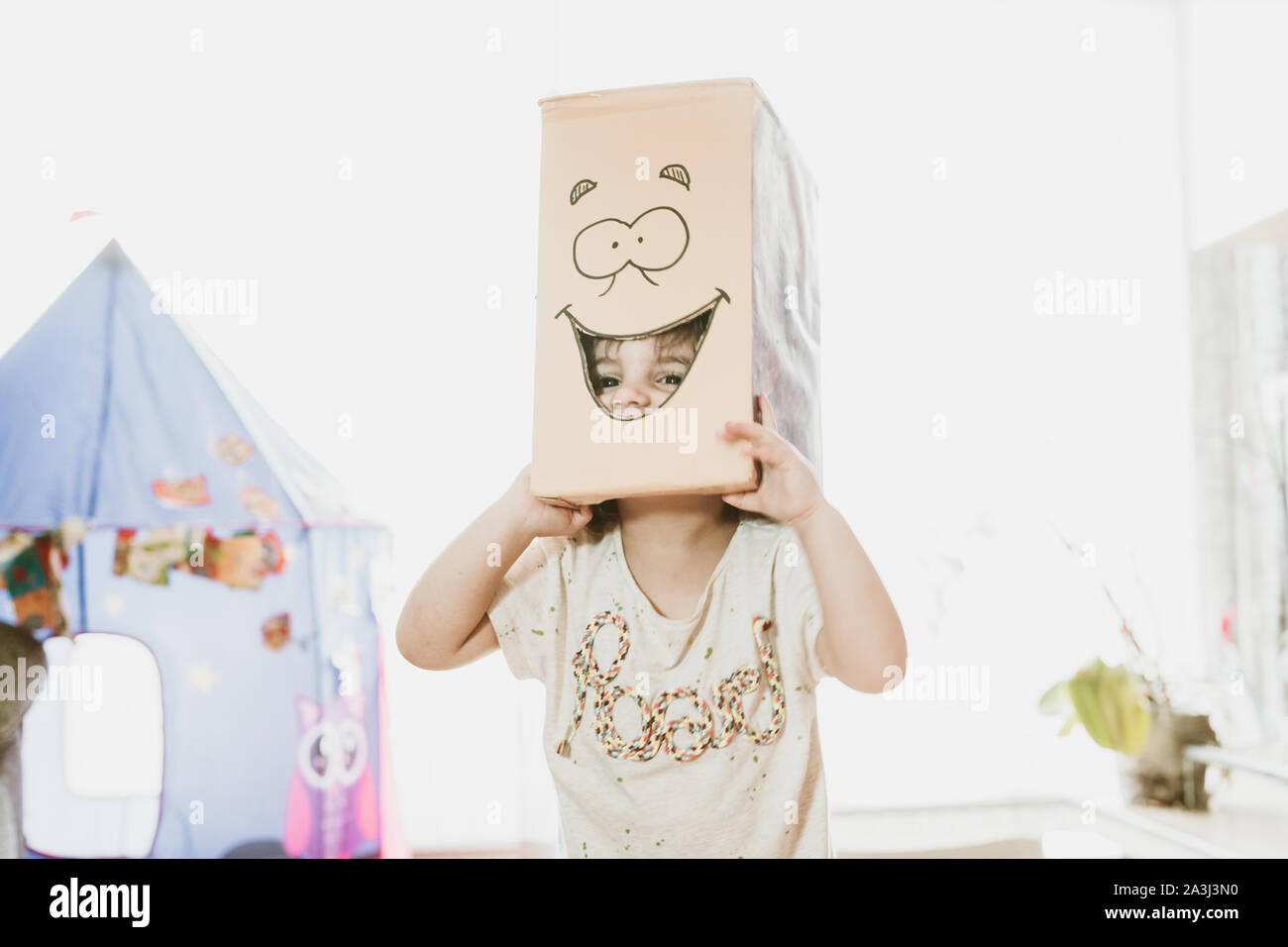 Portrait Of Playful Girl With Cardboard Box On Head At Home Stock Photo ...