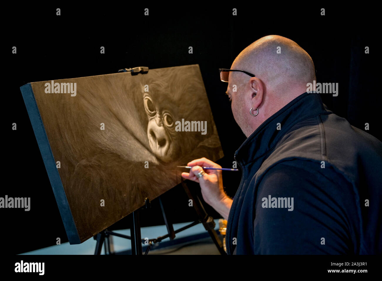 Wildlife artist Edward Spera Stock Photo - Alamy