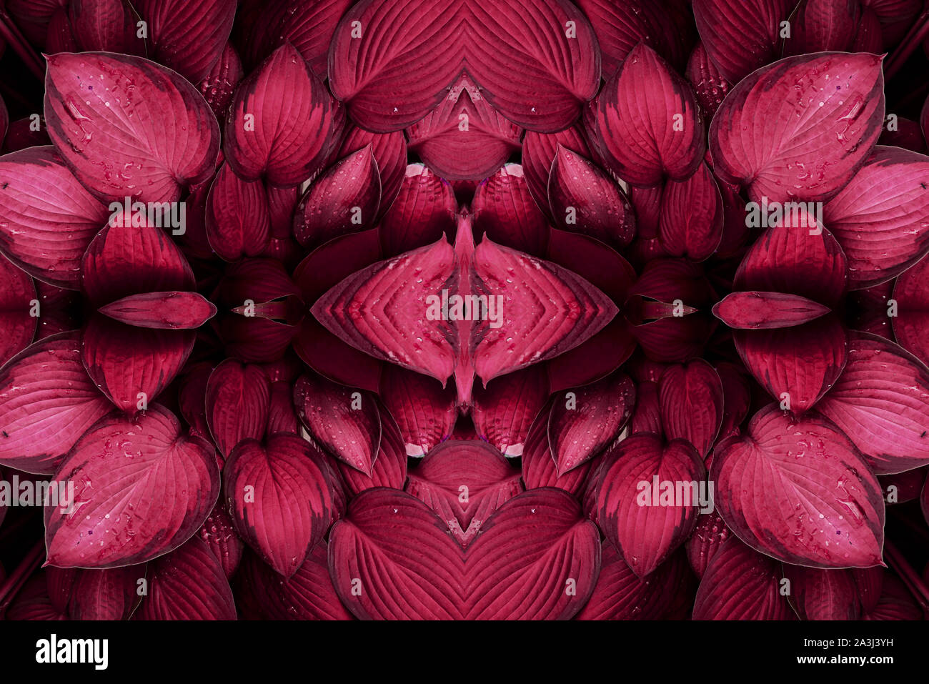 Abstract dark red leaves pattern background, Natural background and ...