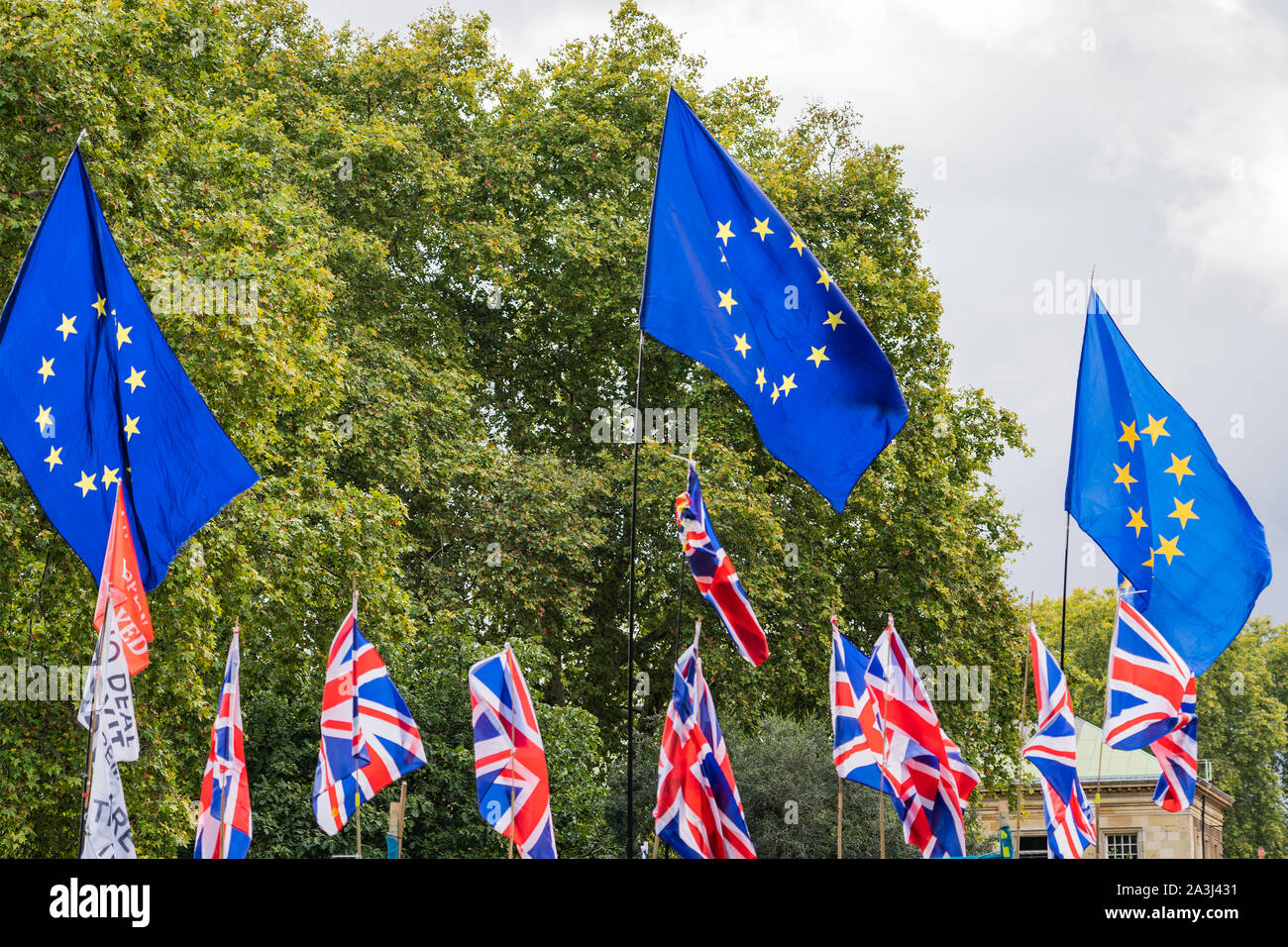 Bunch Of Flags of European Union and Great Britain Stock Photo - Alamy