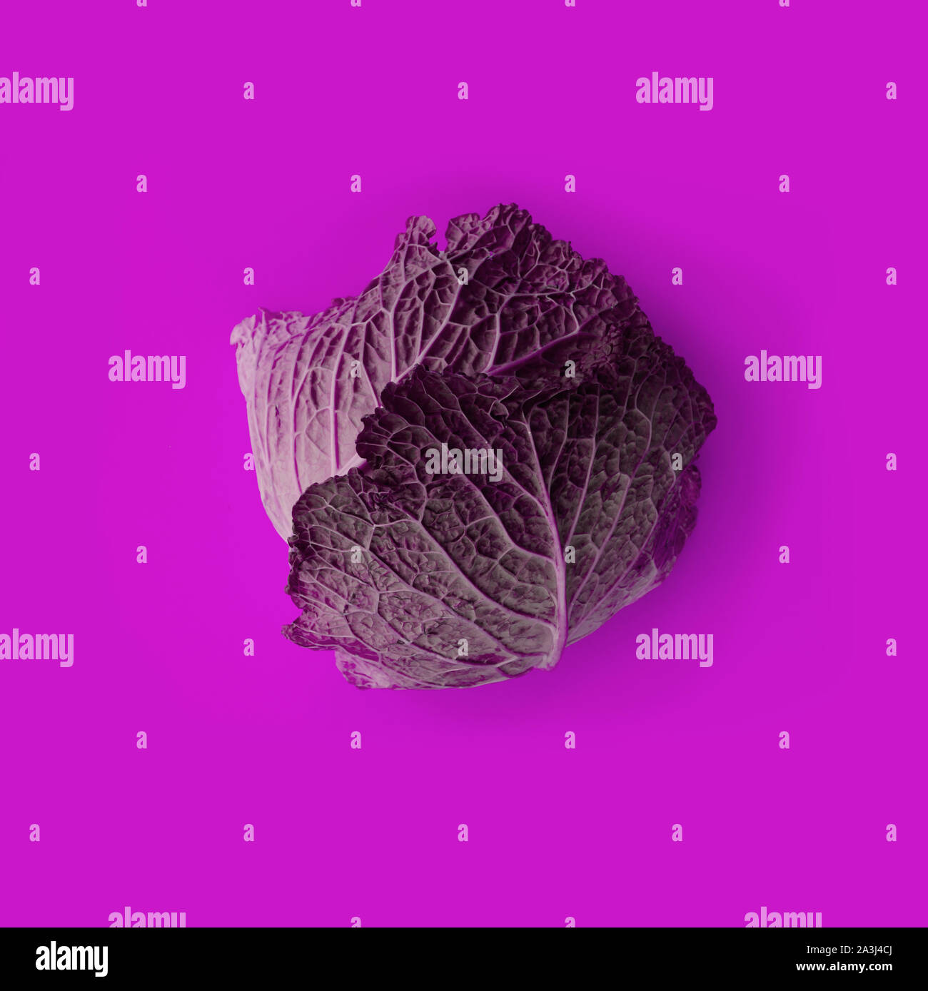 Colored savoy cabbage isolated on background. Toned image. Minimal food ...
