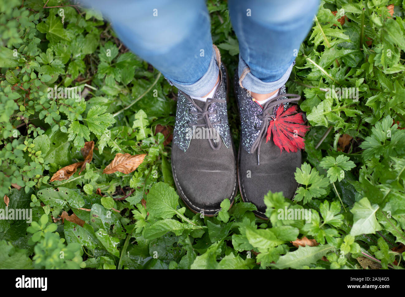 shoes with leaf Stock Photo - Alamy