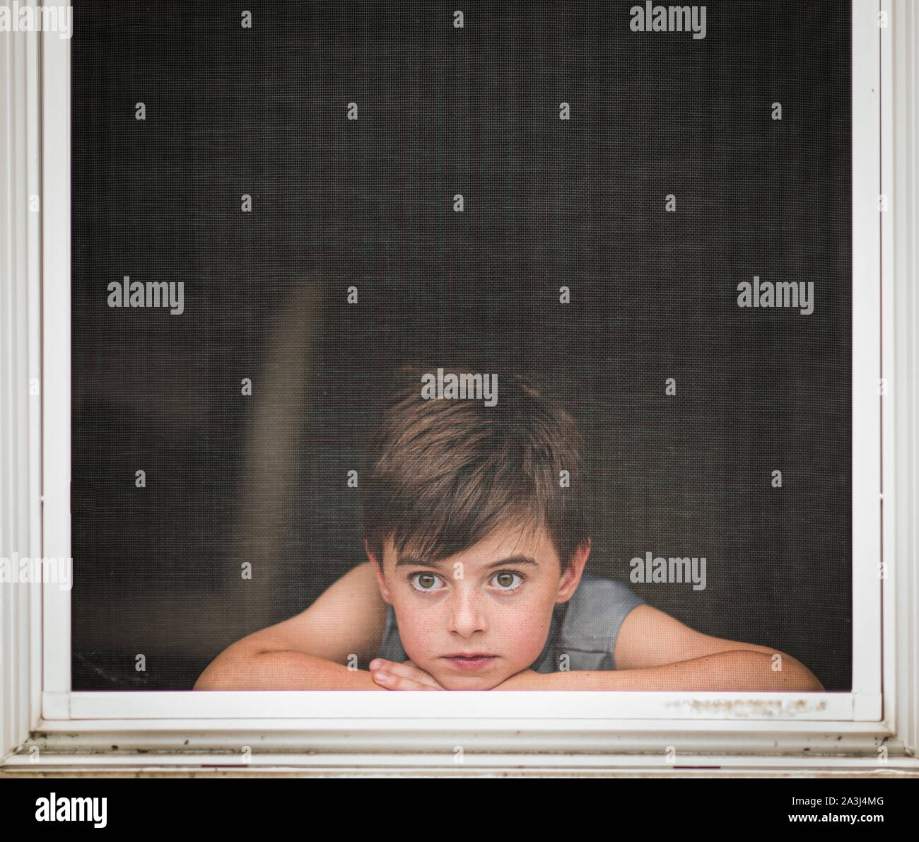 Young boy looking out through the screen of an open window Stock Photo ...