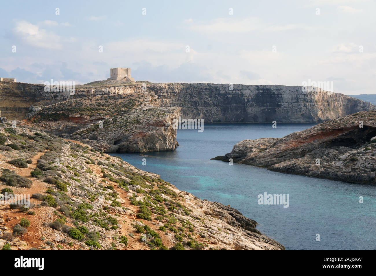 Maltese fauna hi-res stock photography and images - Alamy