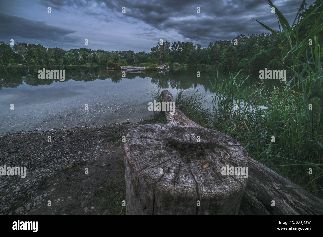 Night Landscape with the Tree Stump by the Lake Stock Photo - Alamy