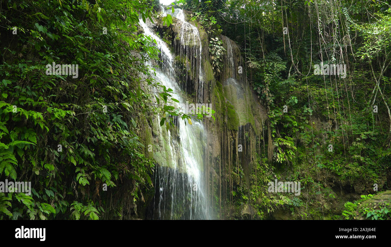 Cambais waterfalls in a mountain gorge in the tropical jungle ...