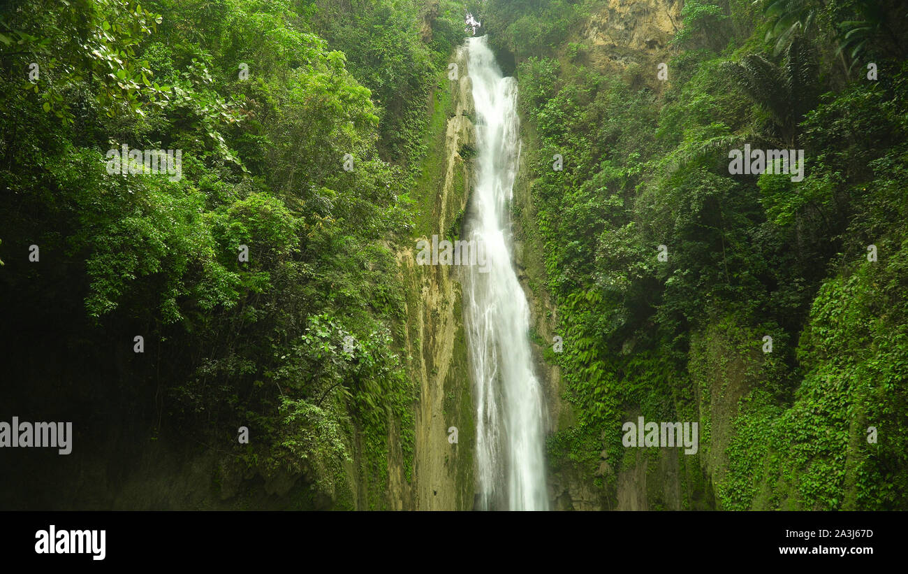 Mantayupan Falls in the jungle, island of Cebu, Philippines. Waterfall ...