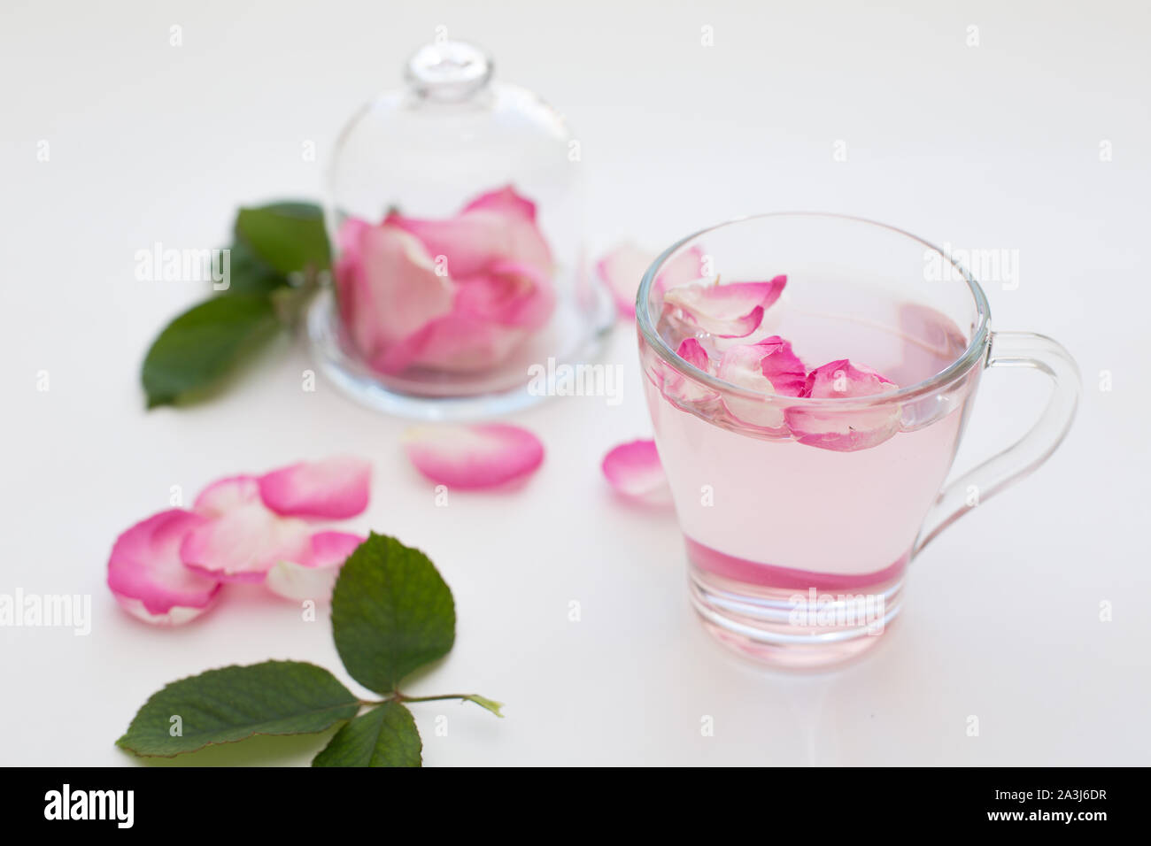 Rose petals tea in a white background. Horizontal Stock Photo - Alamy