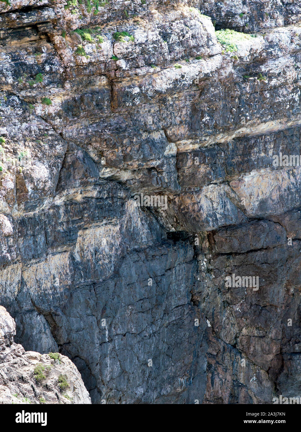 Isolated photo of a big stone with lines and shapes on the surface ...