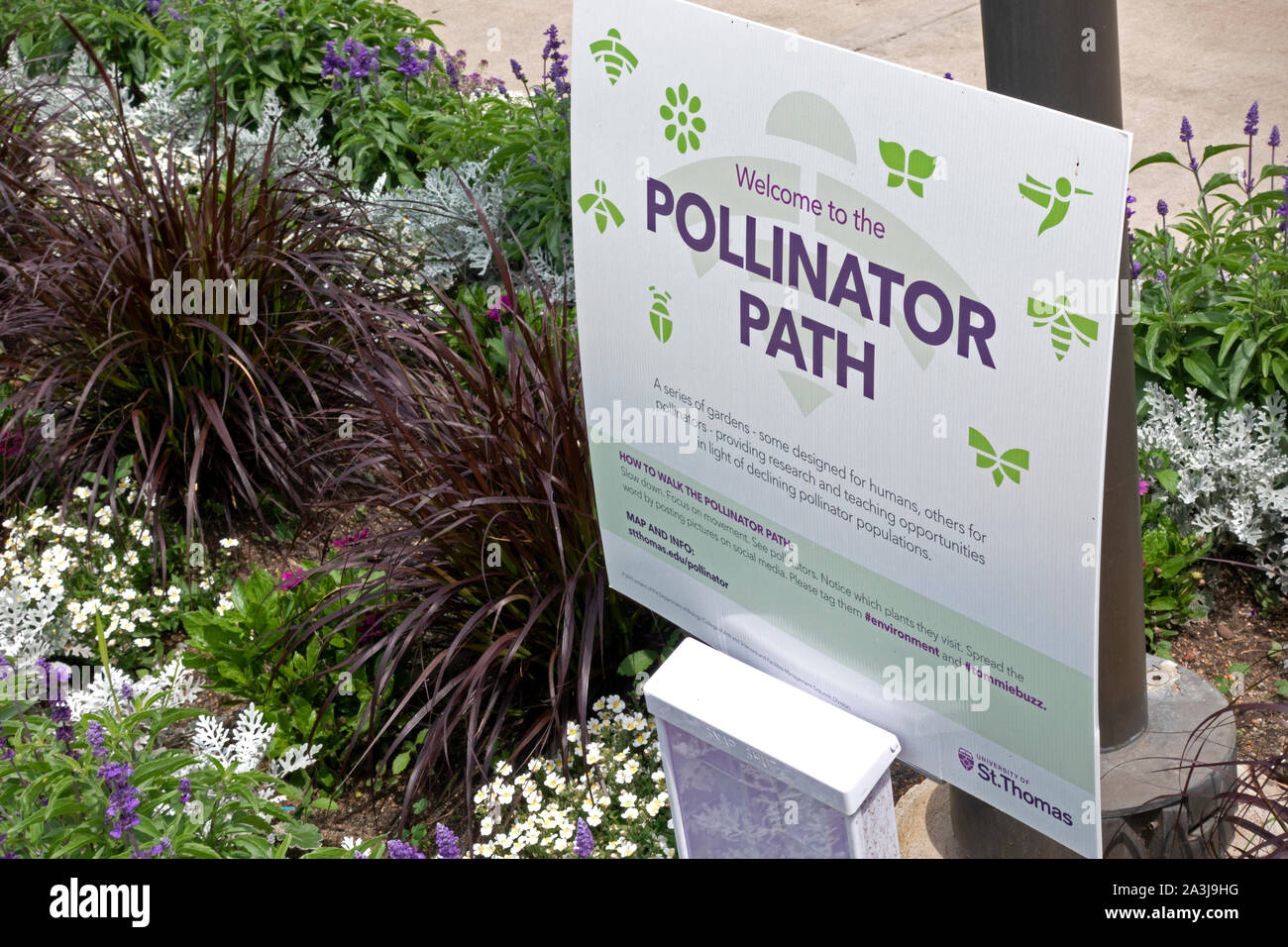 Sign describing a garden at St. Thomas University promoting pollination ...