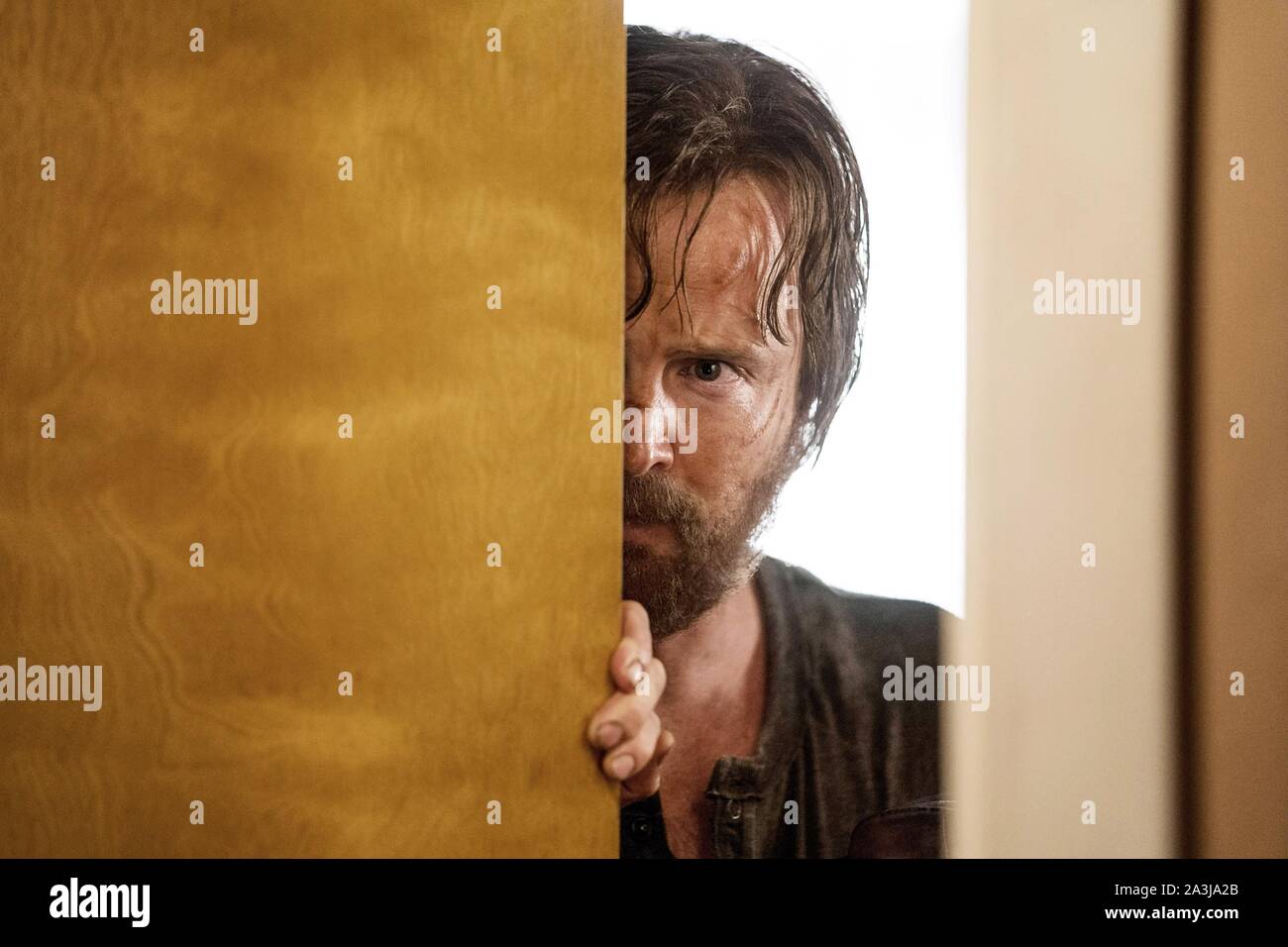 EL CAMINO: A BREAKING BAD MOVIE, Aaron Paul, 2019. ph: Ben Rothstein ...