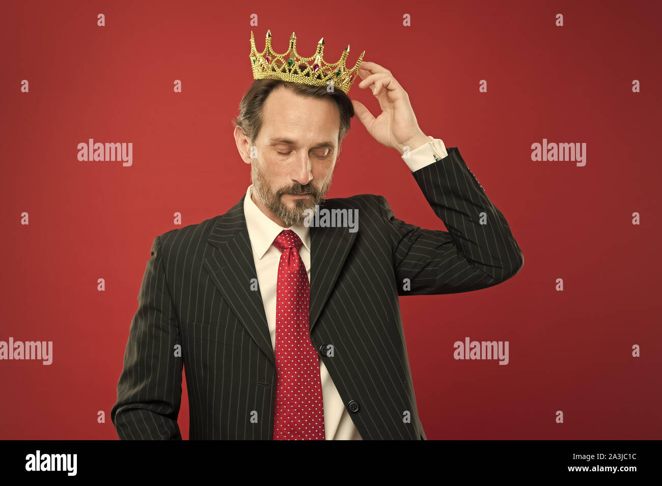 Living life like big boss. Big boss wearing jewelry crown on red ...