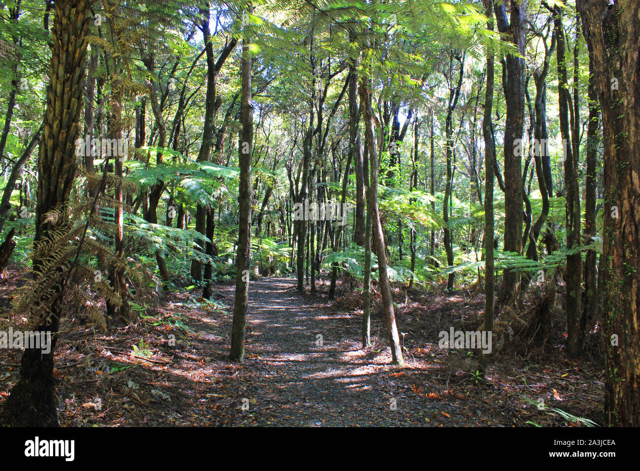 Bush walkway hi-res stock photography and images - Alamy