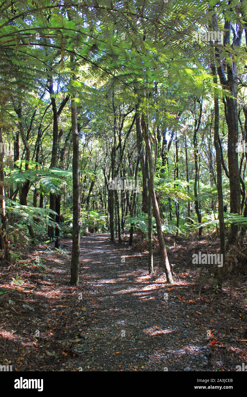 Bush walkway hi-res stock photography and images - Alamy
