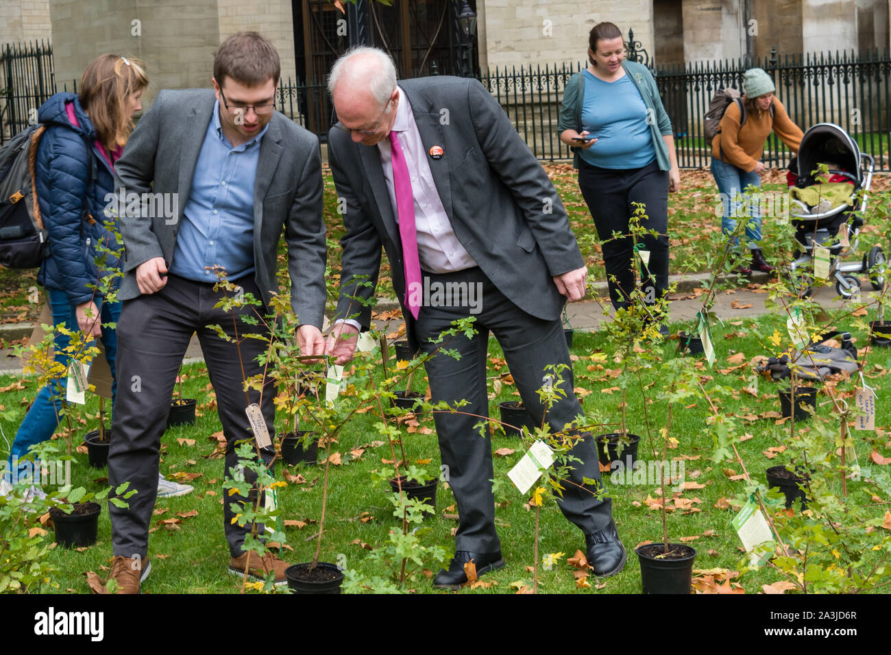 Tree planting uk zero hi-res stock photography and images - Alamy